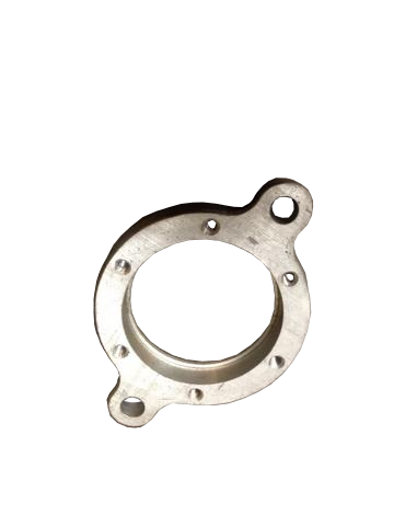 Bat Wing Chassis Bird Cage